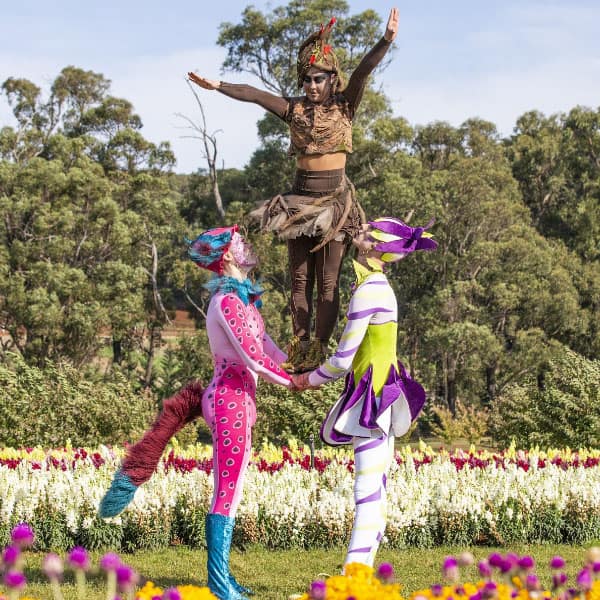 Family Fun at the Tesselaar KaBloom Festival of Flowers - Kiddiehood